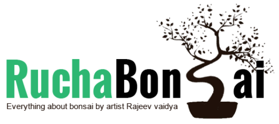Rucha Name Logo